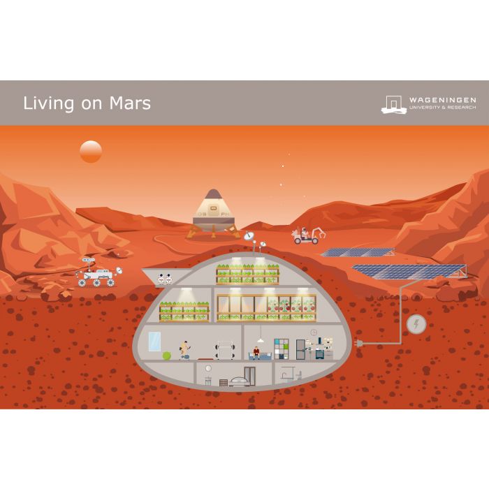 Poster Mars dome