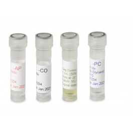 Cymbidium mosaic virus (CyMV) | WUR Prime Diagnostics