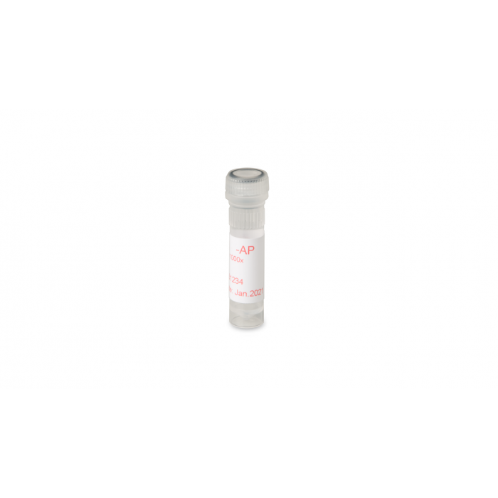 Pelargonium line pattern virus conjugate (1.0 mL) | WUR Prime Diagnostics